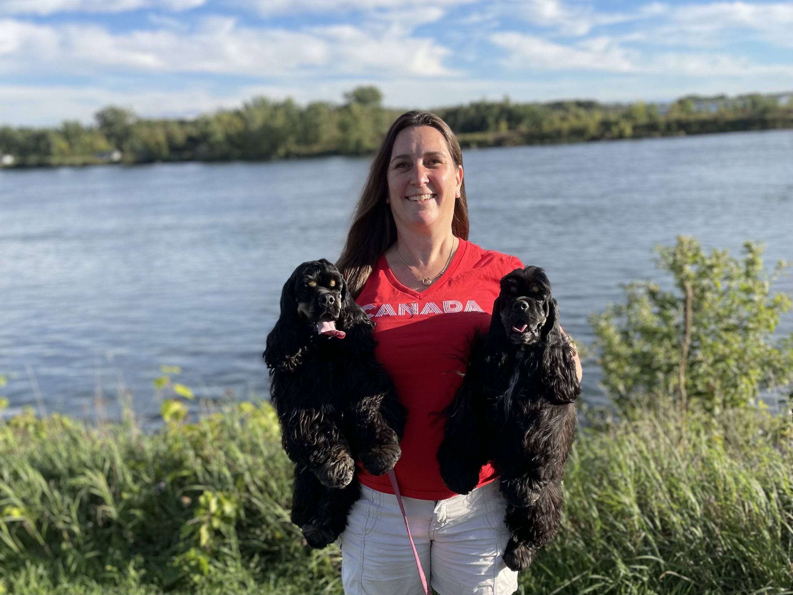 American Cockers | American and English Cocker Spaniels