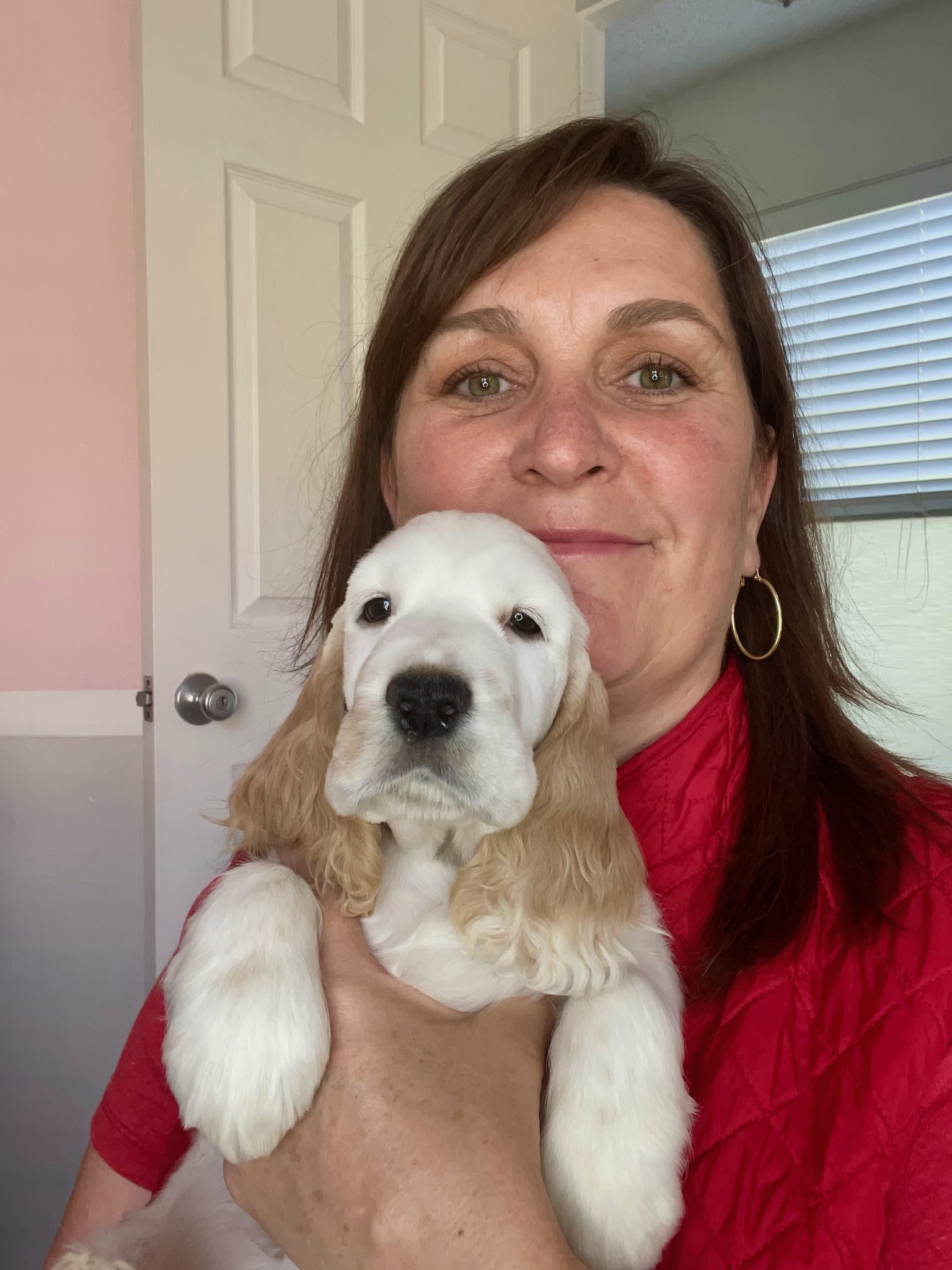 About Me | American and English Cocker Spaniels